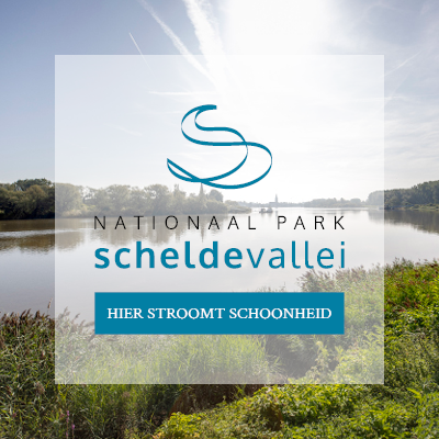 STROOM - Festival in de Scheldevallei